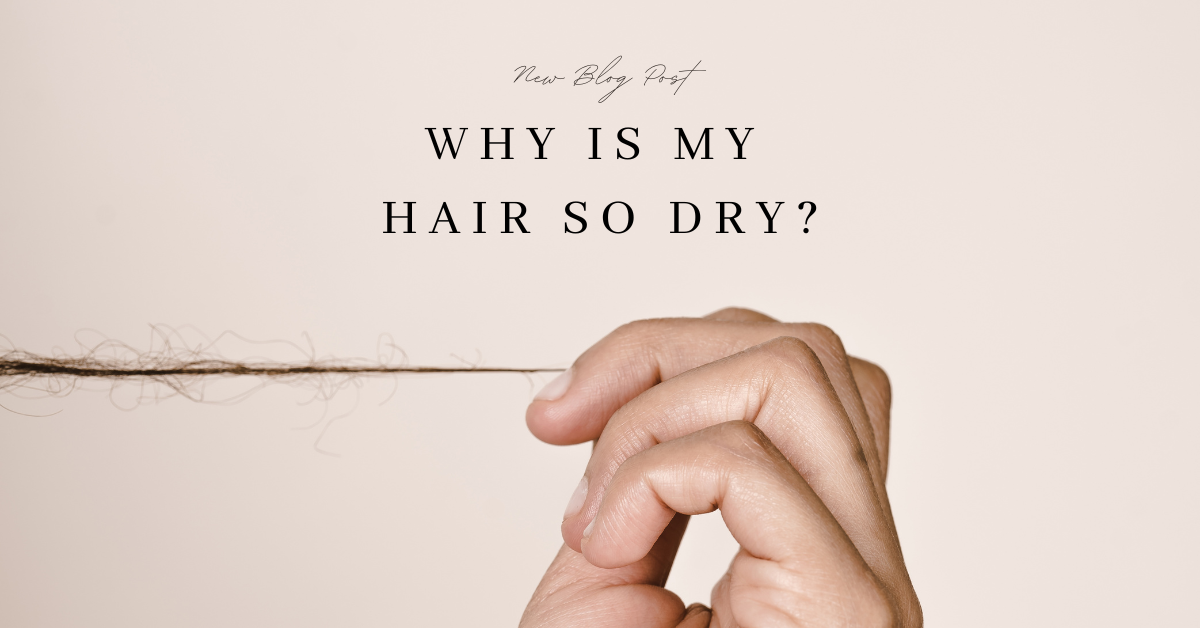 Paul Kemp Hairdressing | Why Is My Hair So Dry? | Hairdressers in ...